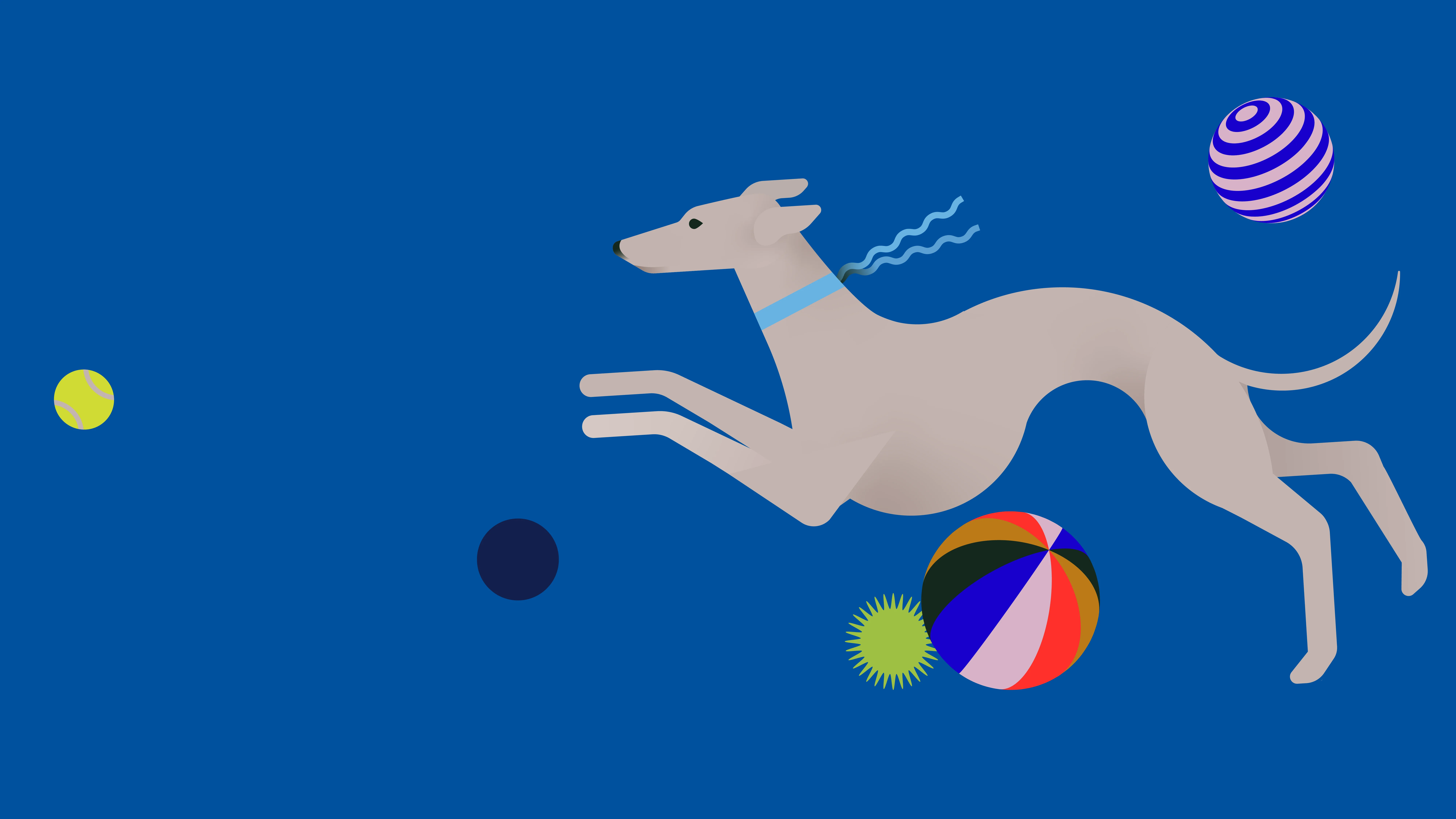 Granta Veterinary Specialists - Every effort made. Every care taken.