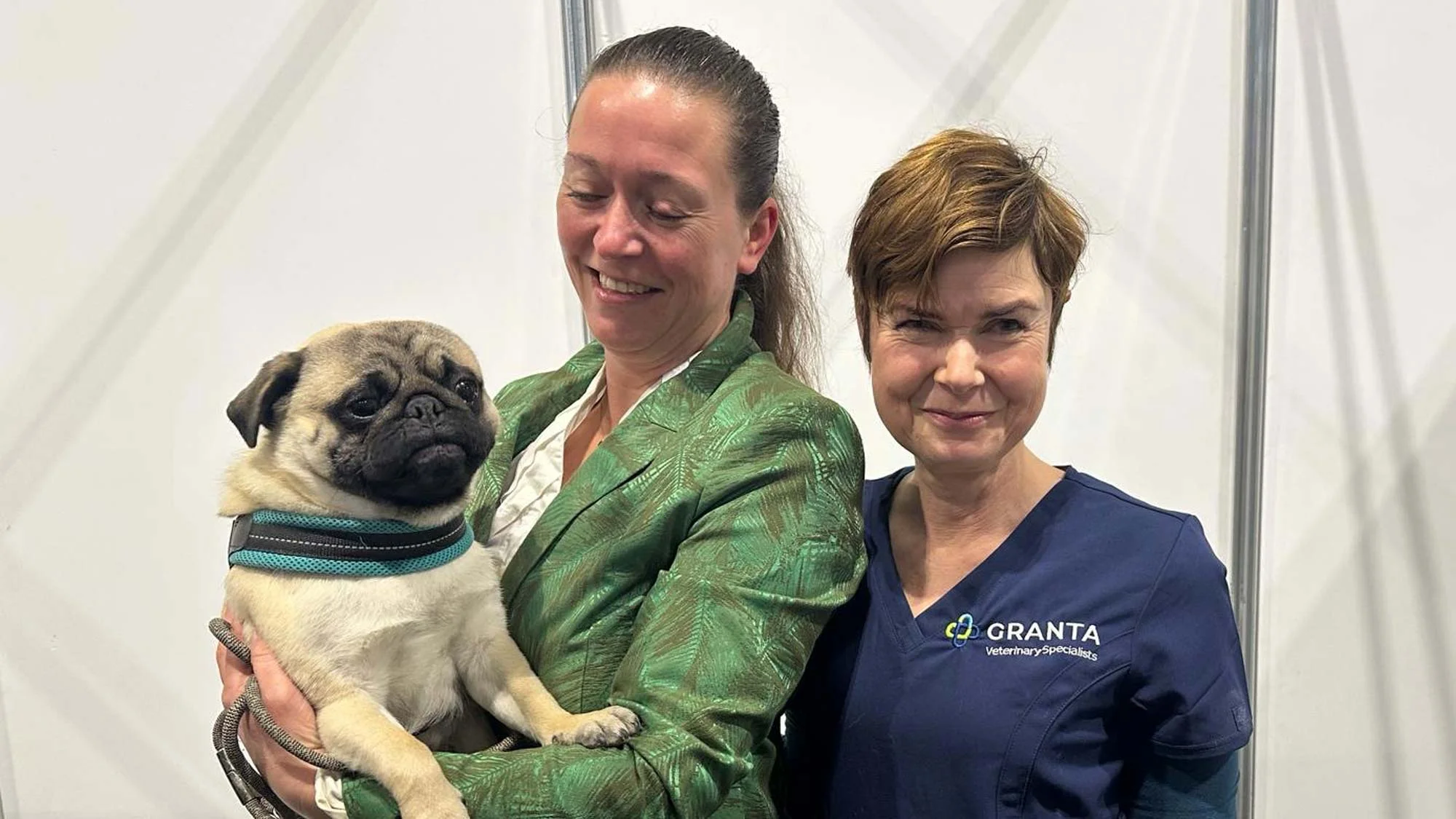 Respiratory Function Grading Scheme - Crufts 2024 - Granta Veterinary ...