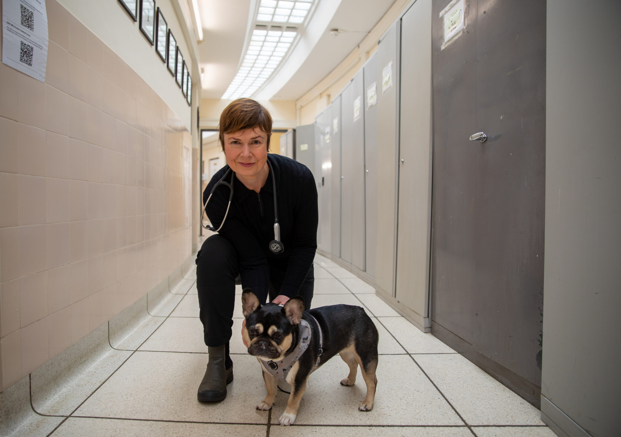 Noisy breathing is never normal - Granta Veterinary Specialists
